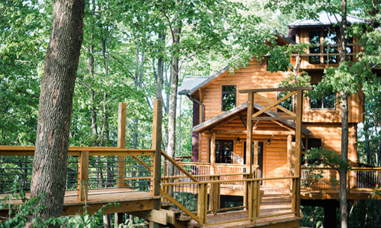 15 Treehouses That Will Make You Feel Like a Kid Again - Eat Play CBUS