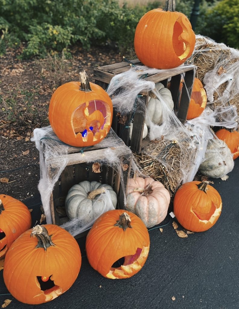 Pumpkins Aglow is back at Franklin Park Conservatory - Eat Play CBUS