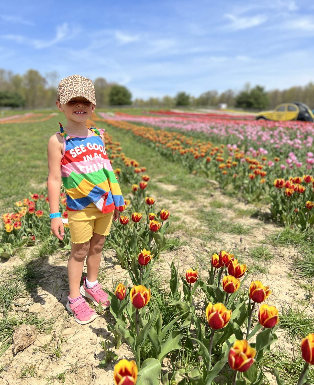 Tip-Toe Through the Tulips: Our Amazing Day at Timbuku Farms' Tulip ...