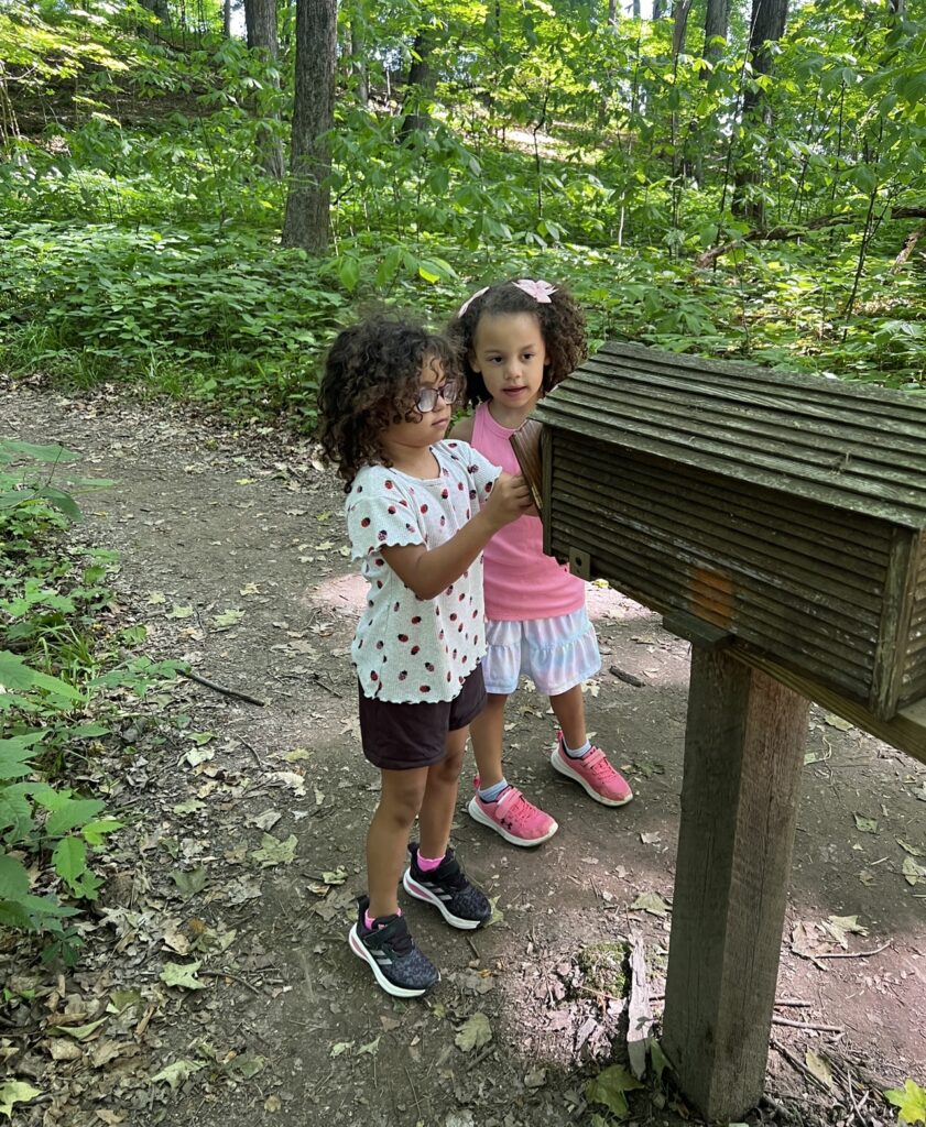 Discover the Magic of the Wildflower Fairy Trail at Infirmary Mound ...